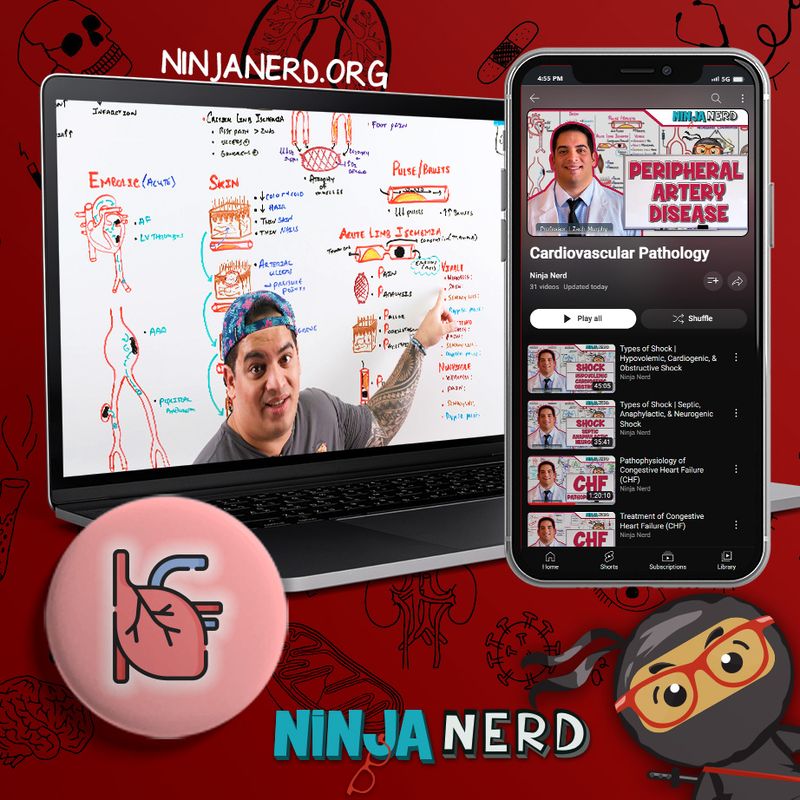 What's New - Ninja Nerd